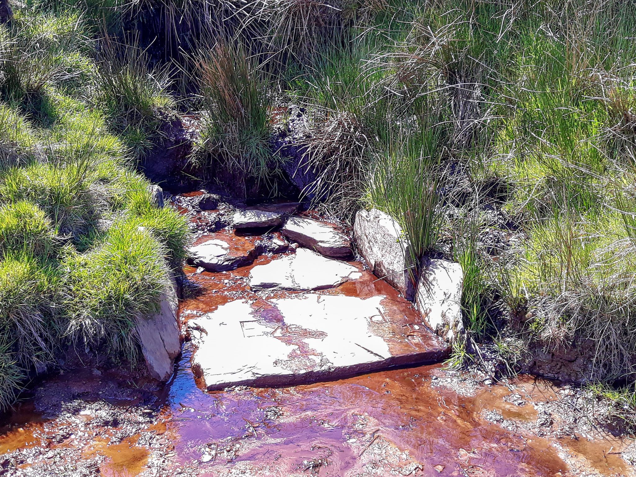 River Exe - Exmoor Waters and Rivers