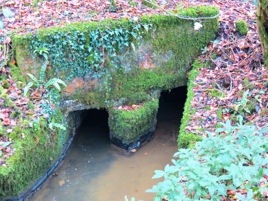 Venn Railway Culvert - Exmoor Waters and Rivers