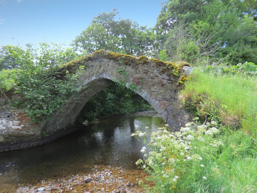 River Exe - Exmoor Waters and Rivers