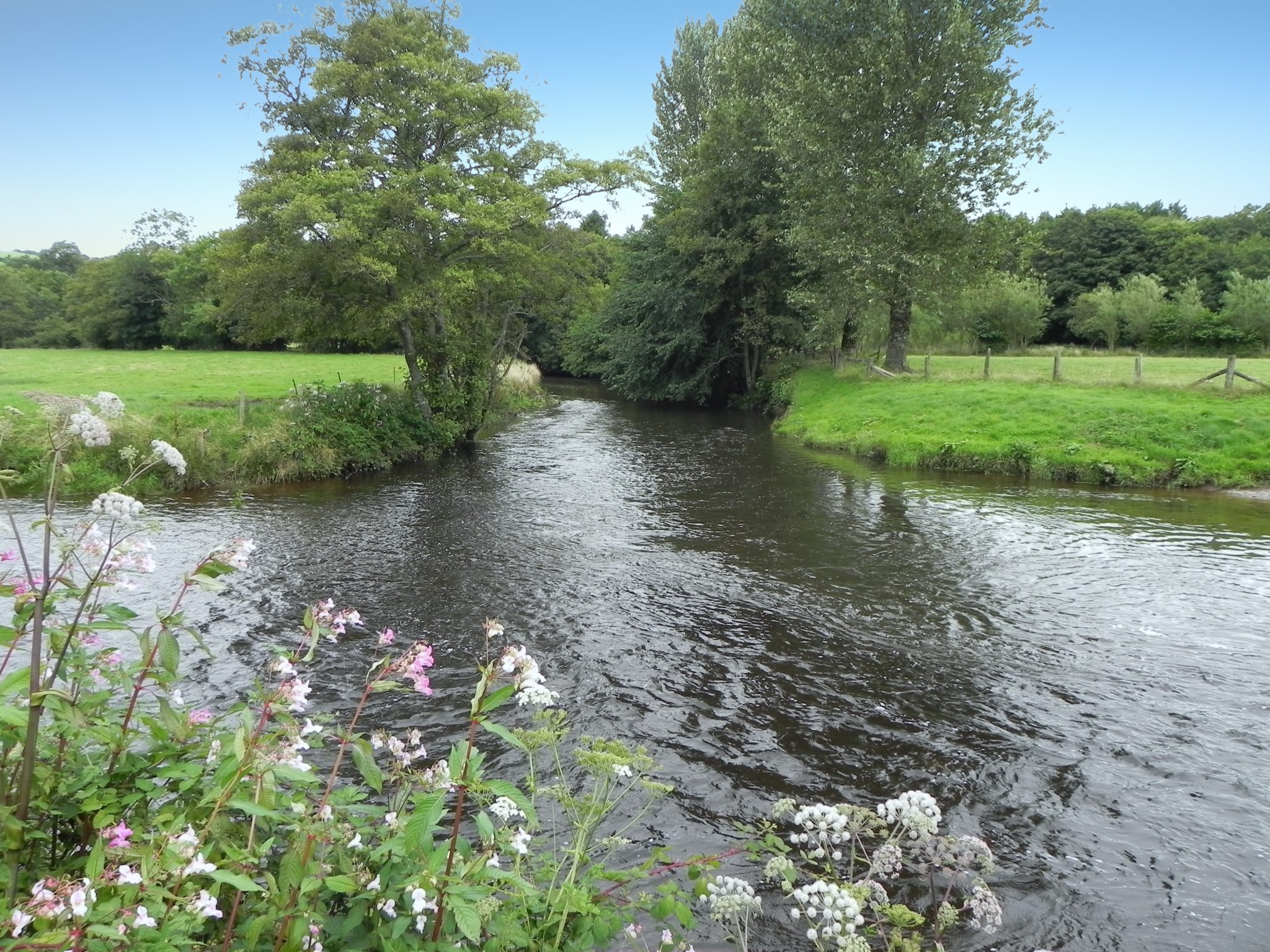 - Exmoor Waters and Rivers