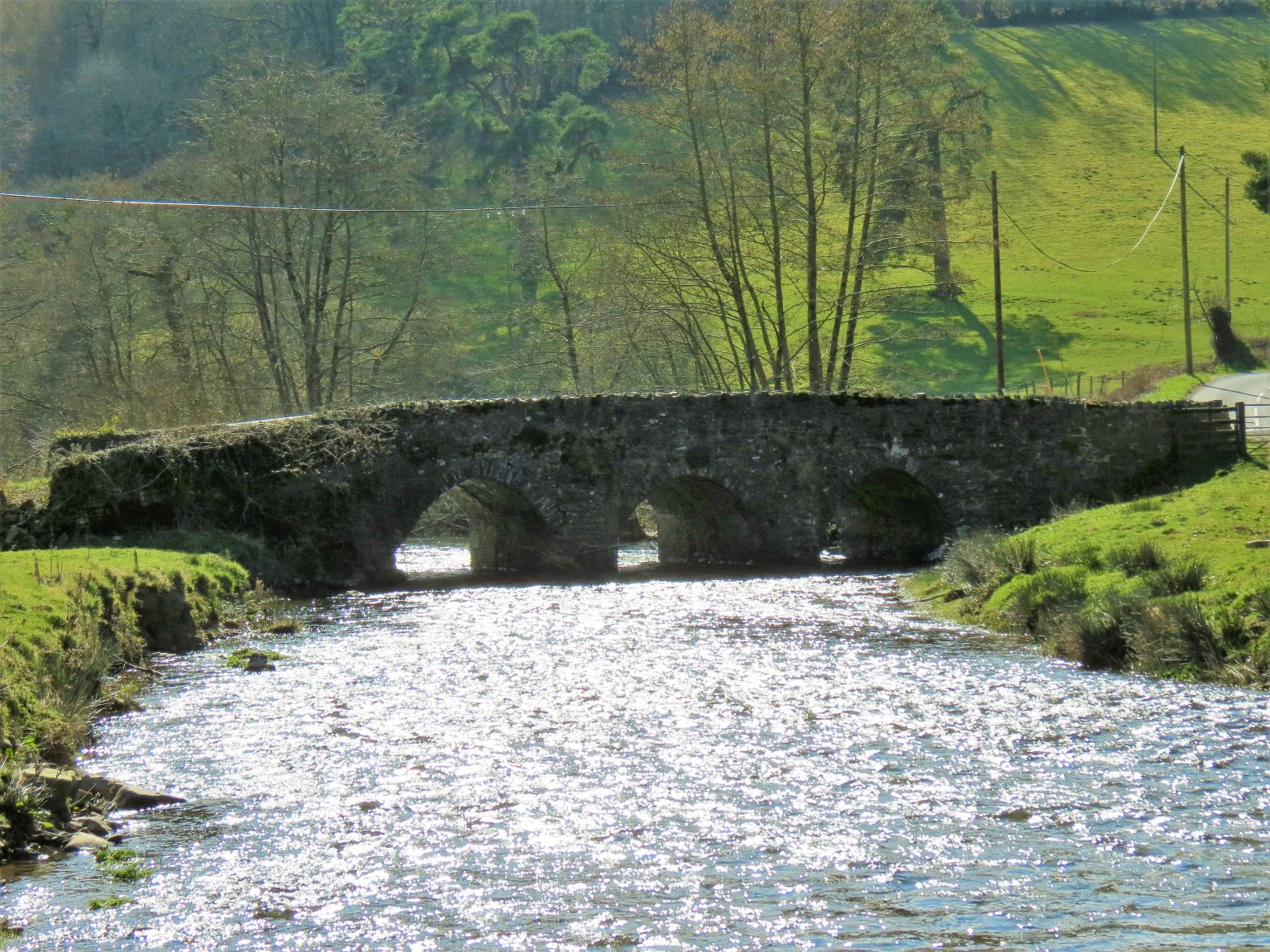 River Exe - Exmoor Waters and Rivers