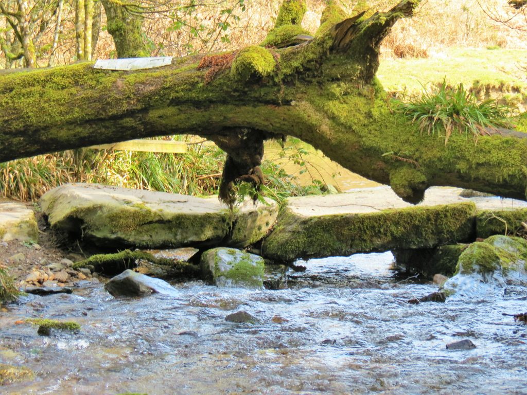 West Water - Exmoor Waters and Rivers